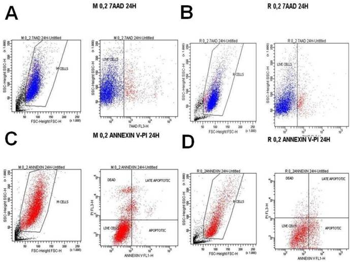 Safety and Efficacy of Suicide Gene Therapy with Adenosine Deaminase 5 ...