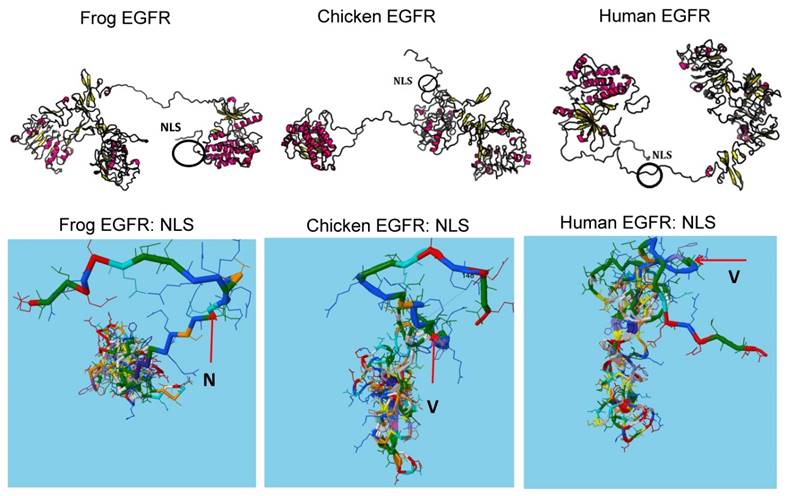 Analysis of Origin and Protein-Protein Interaction Maps Suggests a ...