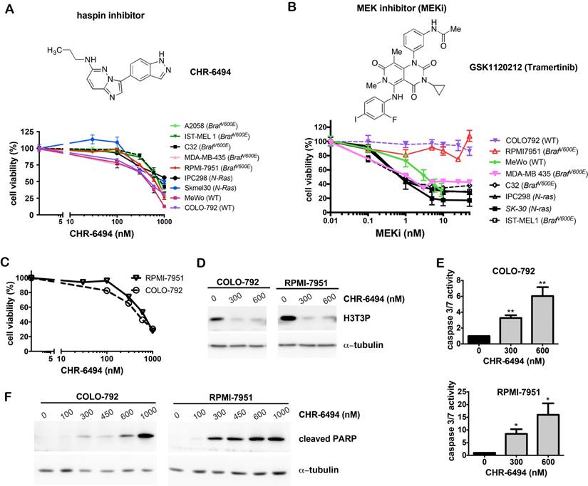 Anti-Melanoma Activities of Haspin Inhibitor CHR-6494 Deployed as a ...