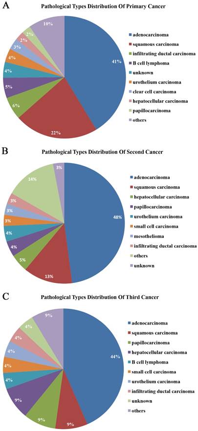 Multiple Primary Malignant Tumors - A Clinical Analysis of 15,321 ...