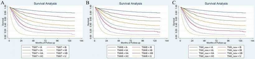 Proposal for a New TNM Stage based on the 7th and 8th American Joint ...