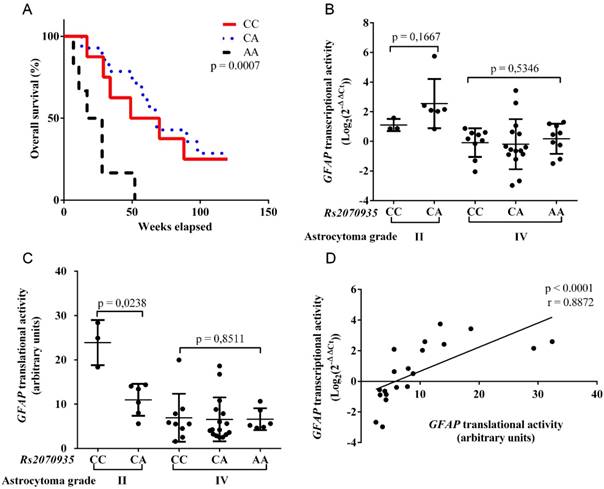 GFAP expression is influenced by astrocytoma grade and rs2070935 ...