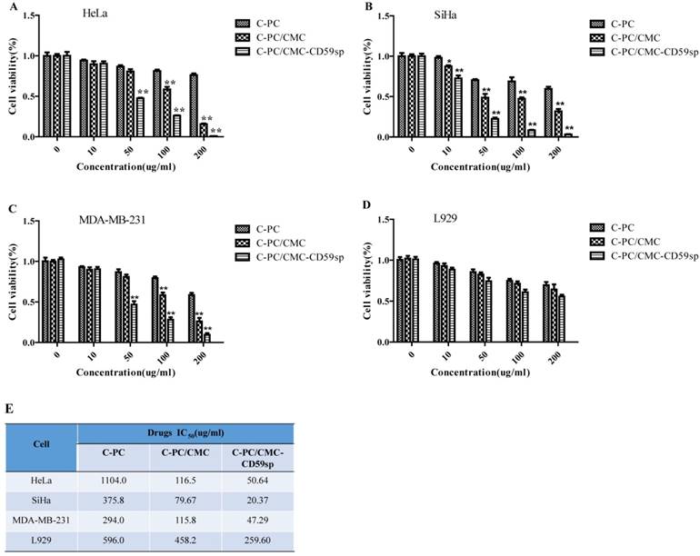 Molecular Mechanism of Anti-Cancer Activity of the Nano-Drug C-PC/CMC ...