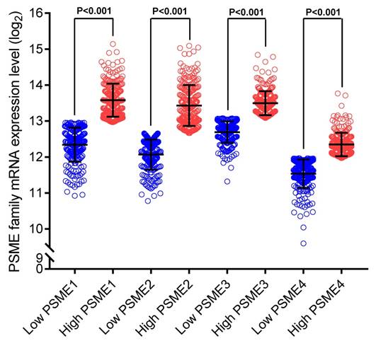 The prognostic value of the proteasome activator subunit gene family in ...
