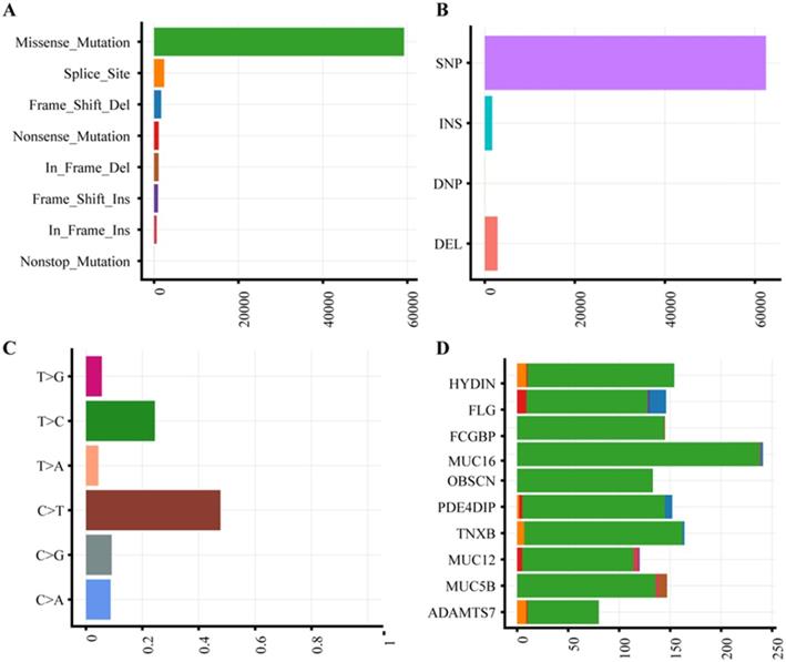 The somatic mutation landscape of Chinese Colorectal Cancer