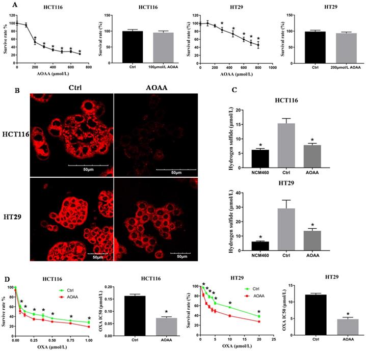 Aminooxyacetic acid (AOAA) sensitizes colon cancer cells to oxaliplatin ...