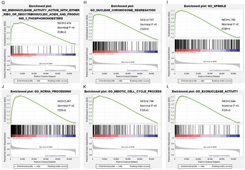Potential therapeutic targets of the nuclear division cycle 80 (NDC80 ...