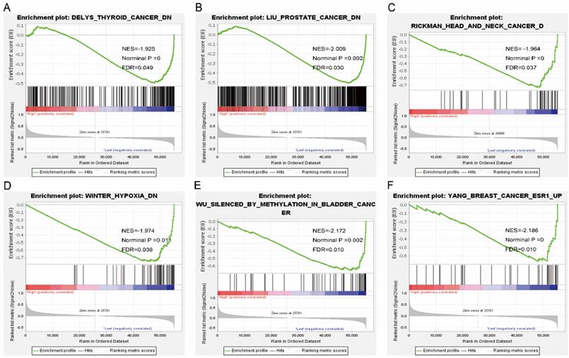 Potential therapeutic targets of the nuclear division cycle 80 (NDC80 ...