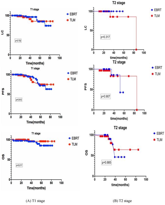 Clinical analysis of EBRT vs TLM in the treatment of early (T1-T2N0 ...
