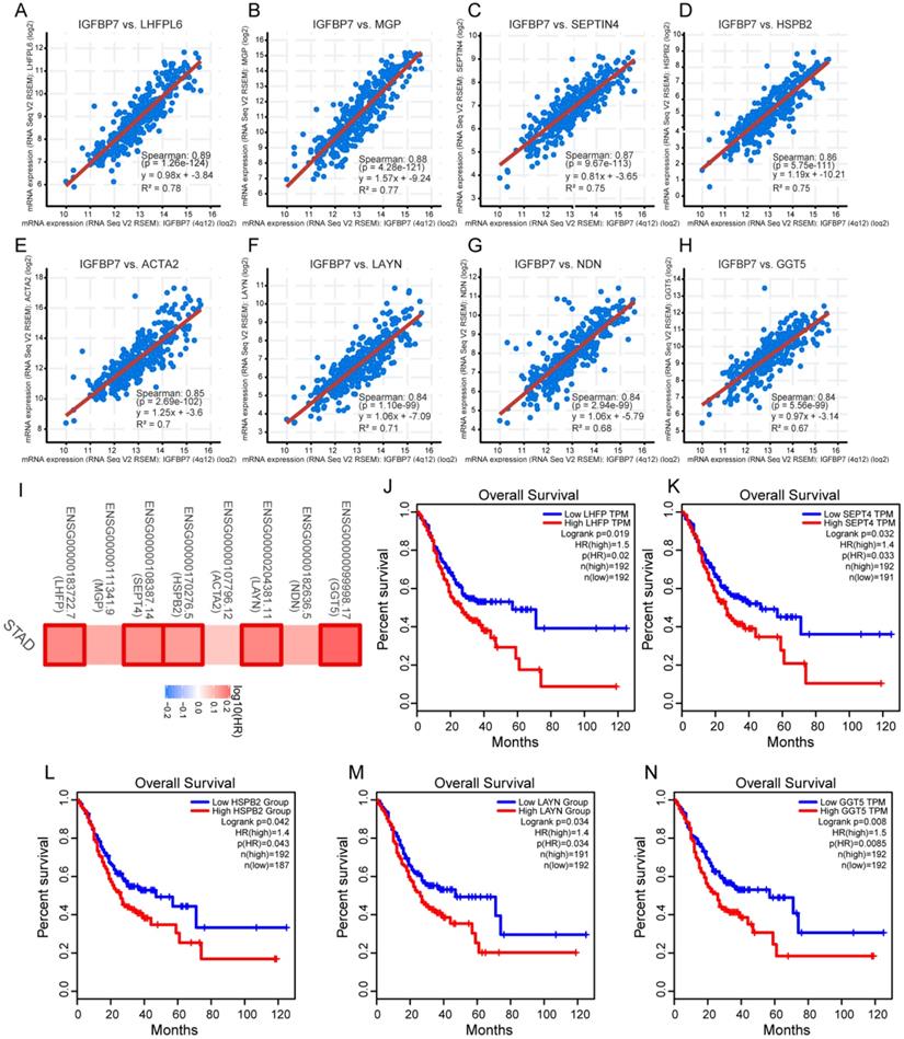 Increased IGFBP7 Expression Correlates with Poor Prognosis and Immune ...
