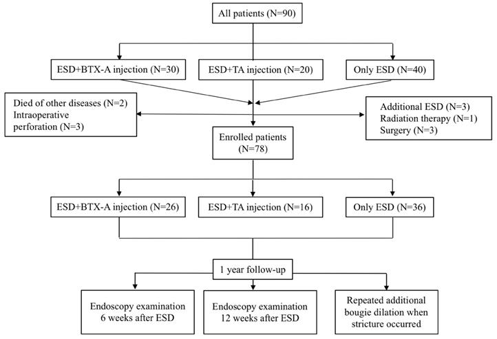Comparison of endoscopic injection of botulinum toxin and steroids ...