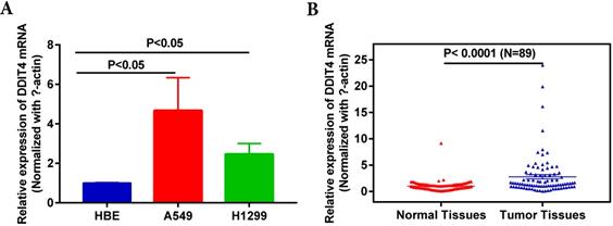 DDIT4 overexpression associates with poor prognosis in lung adenocarcinoma