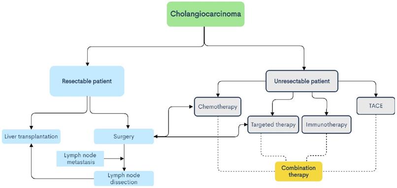The new insight of treatment in Cholangiocarcinoma