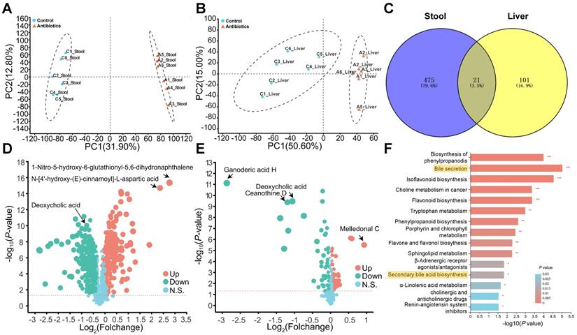 Non-absorbable antibiotic treatment inhibits colorectal cancer liver ...