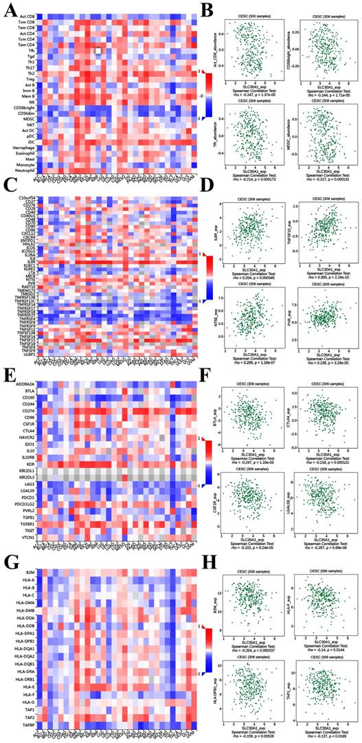 The correlation and role analysis of SLC30A1 and SLC30A10 in cervical ...