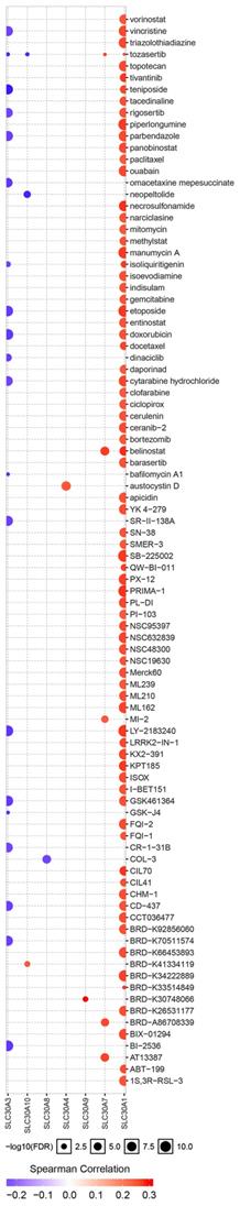 The correlation and role analysis of SLC30A1 and SLC30A10 in cervical ...