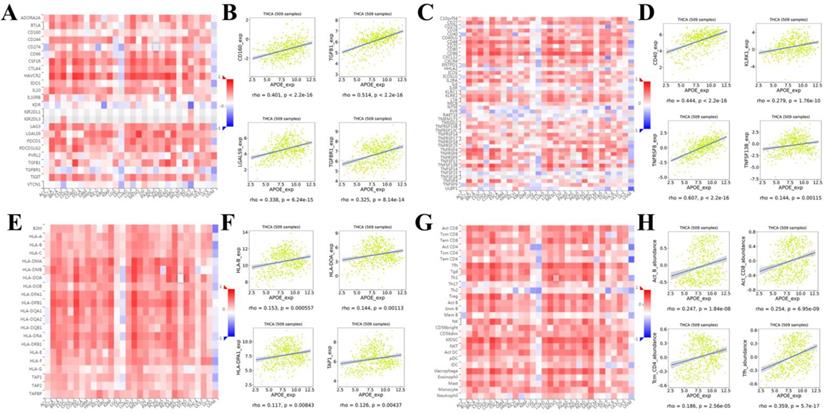 APOE Is a Prognostic Biomarker and Correlates with Immune Infiltrates ...