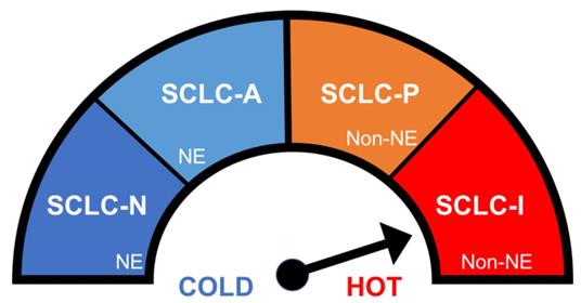 A 2022 Update on Extensive Stage Small-Cell Lung Cancer (SCLC)