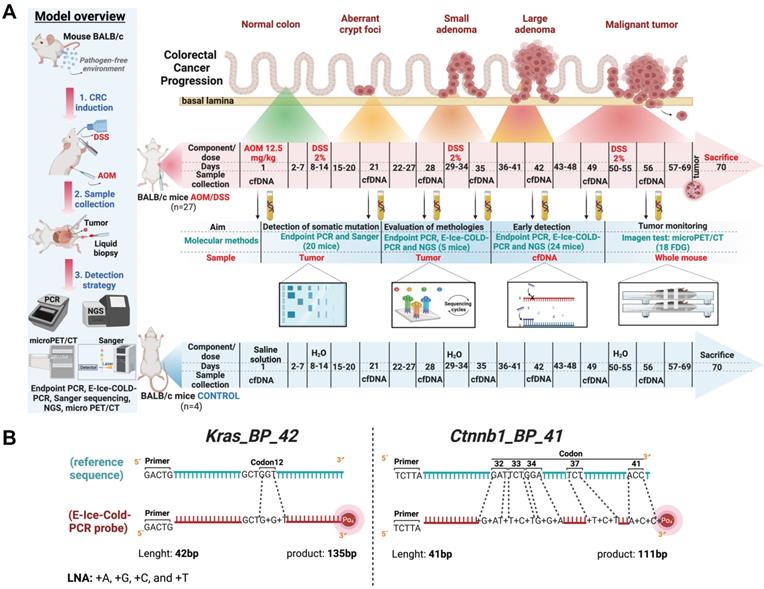 Early detection of colorectal cancer somatic mutations using cfDNA ...