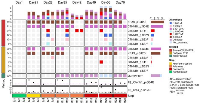 Early detection of colorectal cancer somatic mutations using cfDNA ...