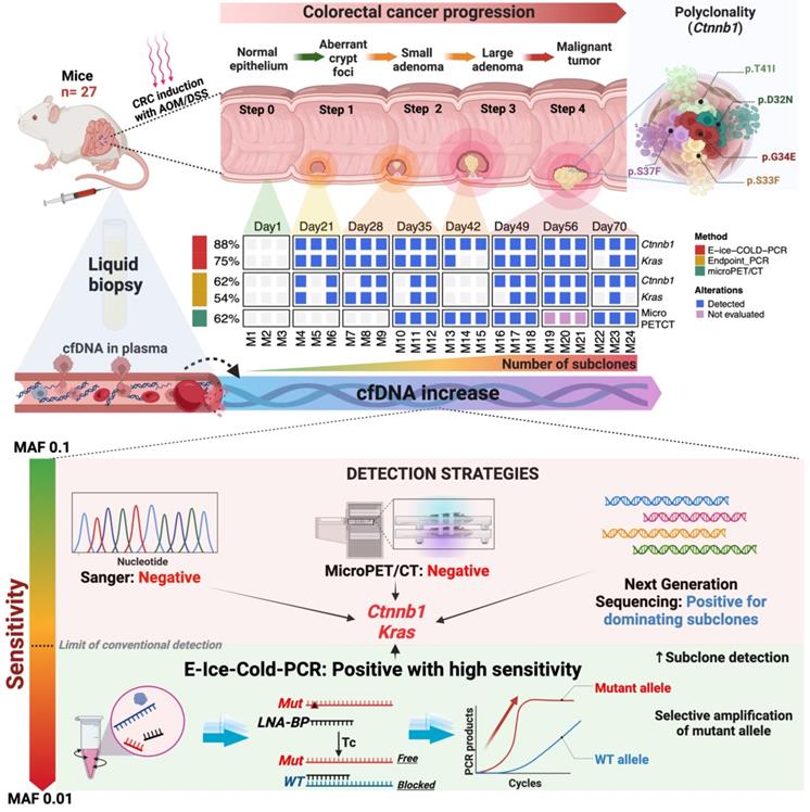 Early detection of colorectal cancer somatic mutations using cfDNA ...