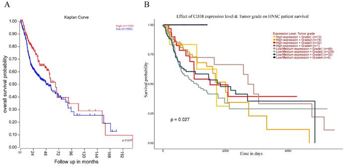 Integrative Analysis Identified CD38 As a Key Node That Correlates ...