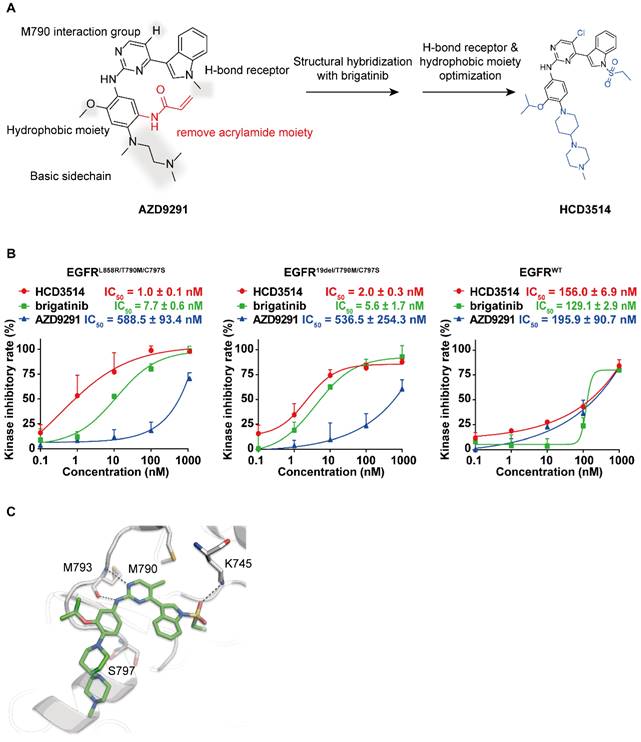 Discovery of HCD3514 as a potent EGFR inhibitor against C797S mutation ...