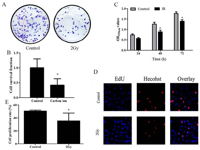 LIF Inhibits Proliferation of Esophageal Squamous Carcinoma Cells by ...