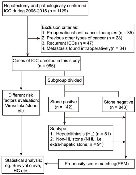 Evaluating prognostic value of biliary stone in intrahepatic ...