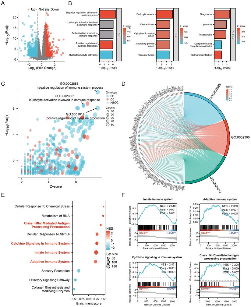 High Expression of Microtubule-associated Protein TBCB Predicts Adverse ...