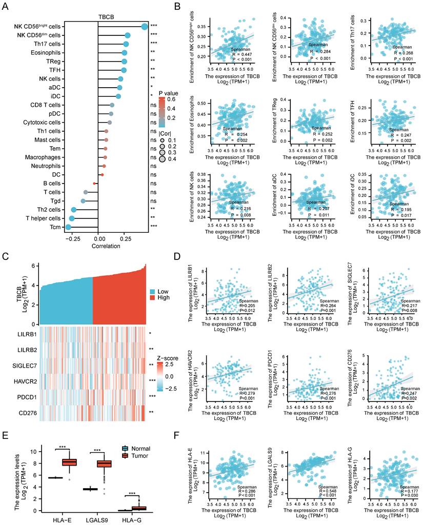 High Expression of Microtubule-associated Protein TBCB Predicts Adverse ...