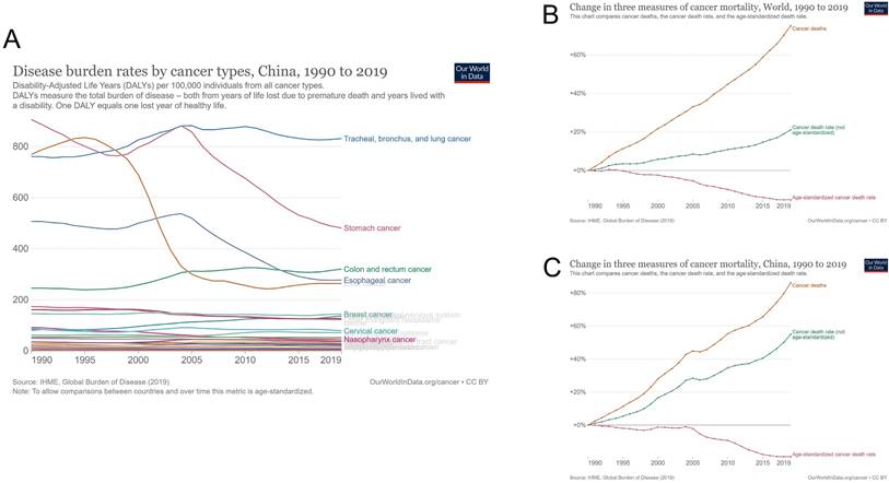 Cancer trends and risk factors in China over the past 30 years (1990-2019)