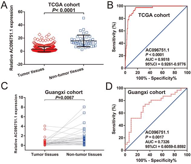 Genome-wide RNA-sequencing dataset reveals AC096751.1 sever as a novel ...