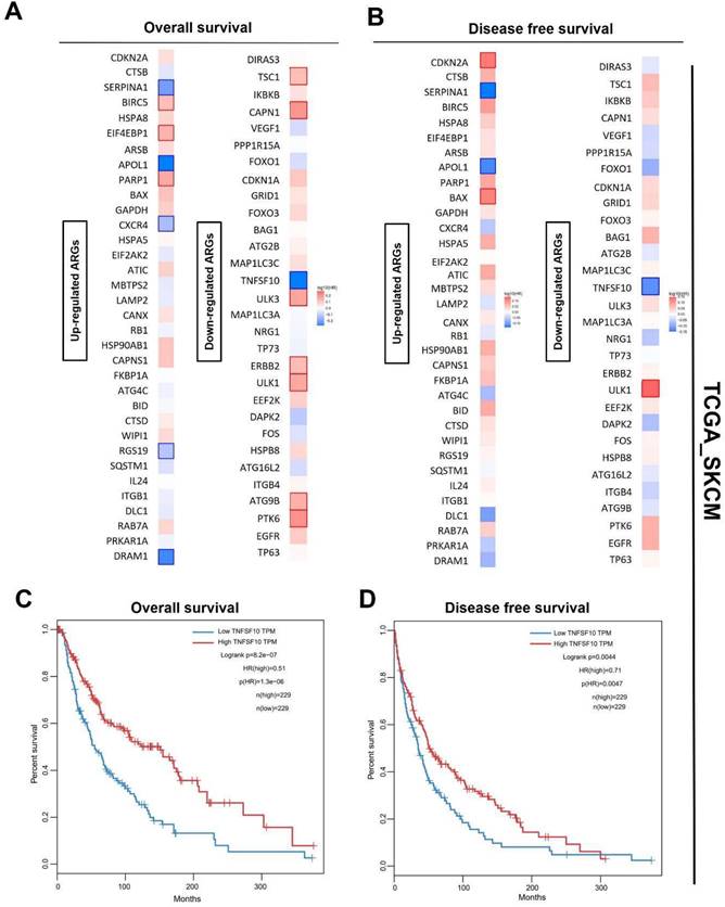 TNFSF10, an autophagy related gene, was a prognostic and immune ...