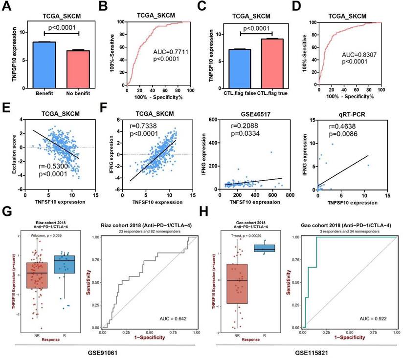 TNFSF10, an autophagy related gene, was a prognostic and immune ...