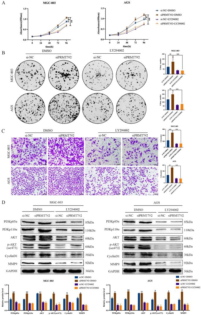 PRMT7 Inhibits the Proliferation and Migration of Gastric Cancer Cells ...