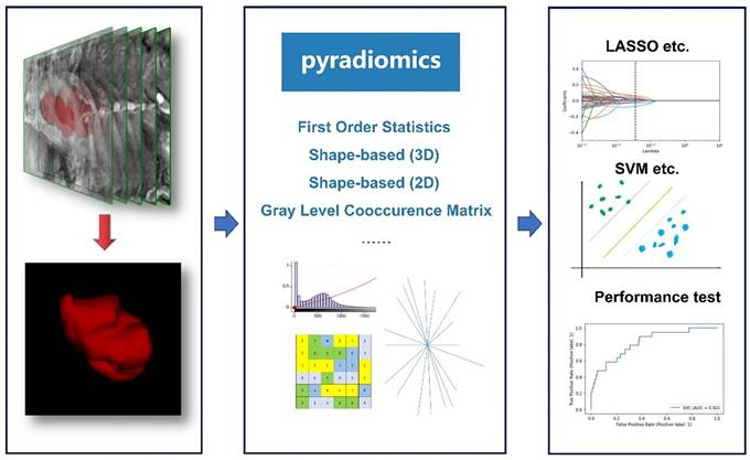 Advances in Radiomics Research for Endometrial Cancer: A Comprehensive ...