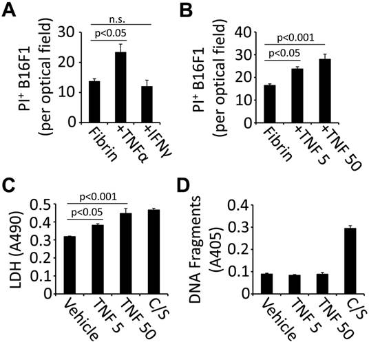Plasma Fibronectin Promotes Tumor Cell Survival and Invasion through ...