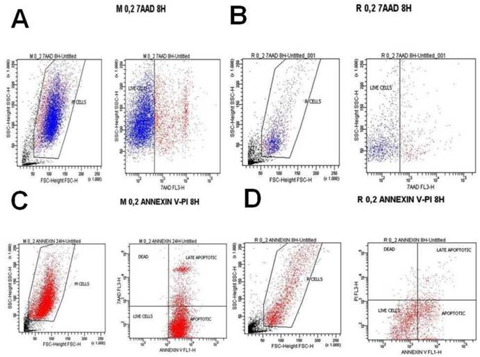 Safety and Efficacy of Suicide Gene Therapy with Adenosine Deaminase 5 ...