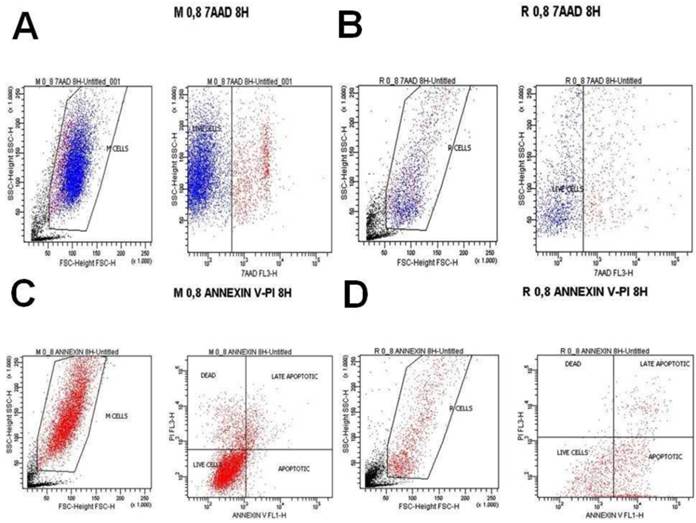 Safety and Efficacy of Suicide Gene Therapy with Adenosine Deaminase 5 ...