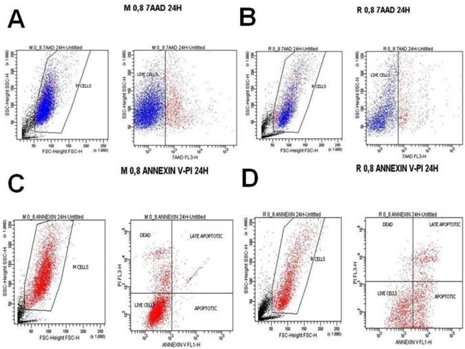 Safety and Efficacy of Suicide Gene Therapy with Adenosine Deaminase 5 ...