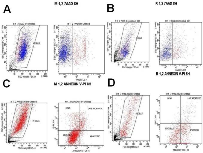 Safety and Efficacy of Suicide Gene Therapy with Adenosine Deaminase 5 ...