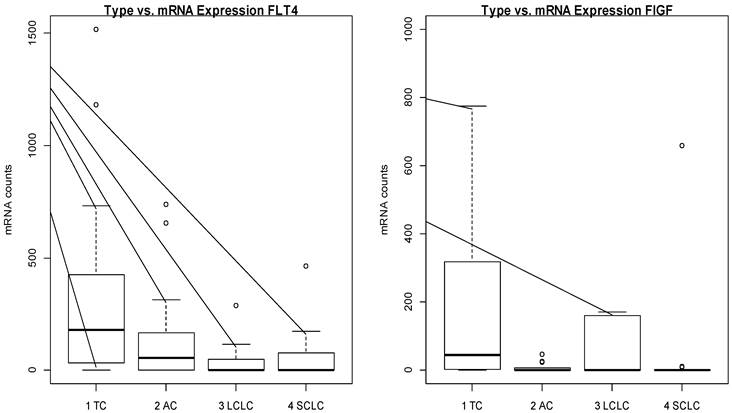 Activation of Angiogenesis Differs Strongly Between Pulmonary ...