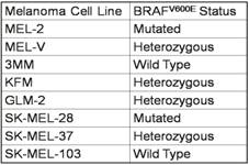 PLX4032 Mediated Melanoma Associated Antigen Potentiation in Patient ...