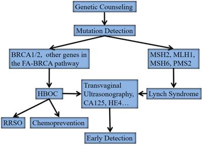Genomic/Epigenomic Alterations in Ovarian Carcinoma: Translational ...