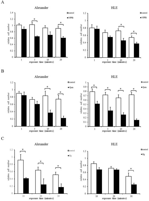 Inhibition of Regulatory Volume Decrease Enhances the Cytocidal Effect ...