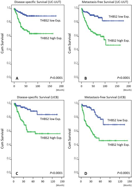 Prognostic Impact of Thrombospodin-2 (THBS2) Overexpression on Patients ...
