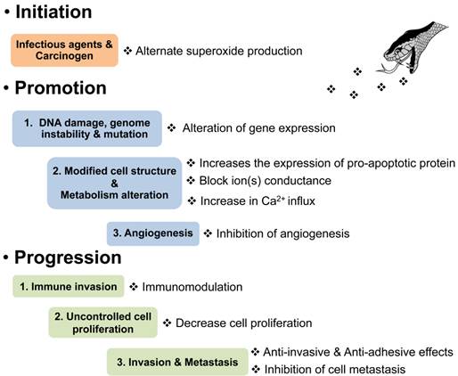 Effects of Animal Venoms and Toxins on Hallmarks of Cancer