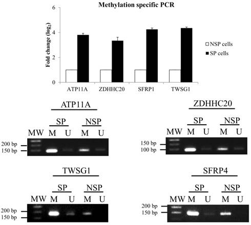 An Integrated Analysis of the Genome-Wide Profiles of DNA Methylation ...