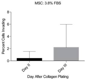 An In Vitro Inverted Vertical Invasion Assay to Avoid Manipulation of ...